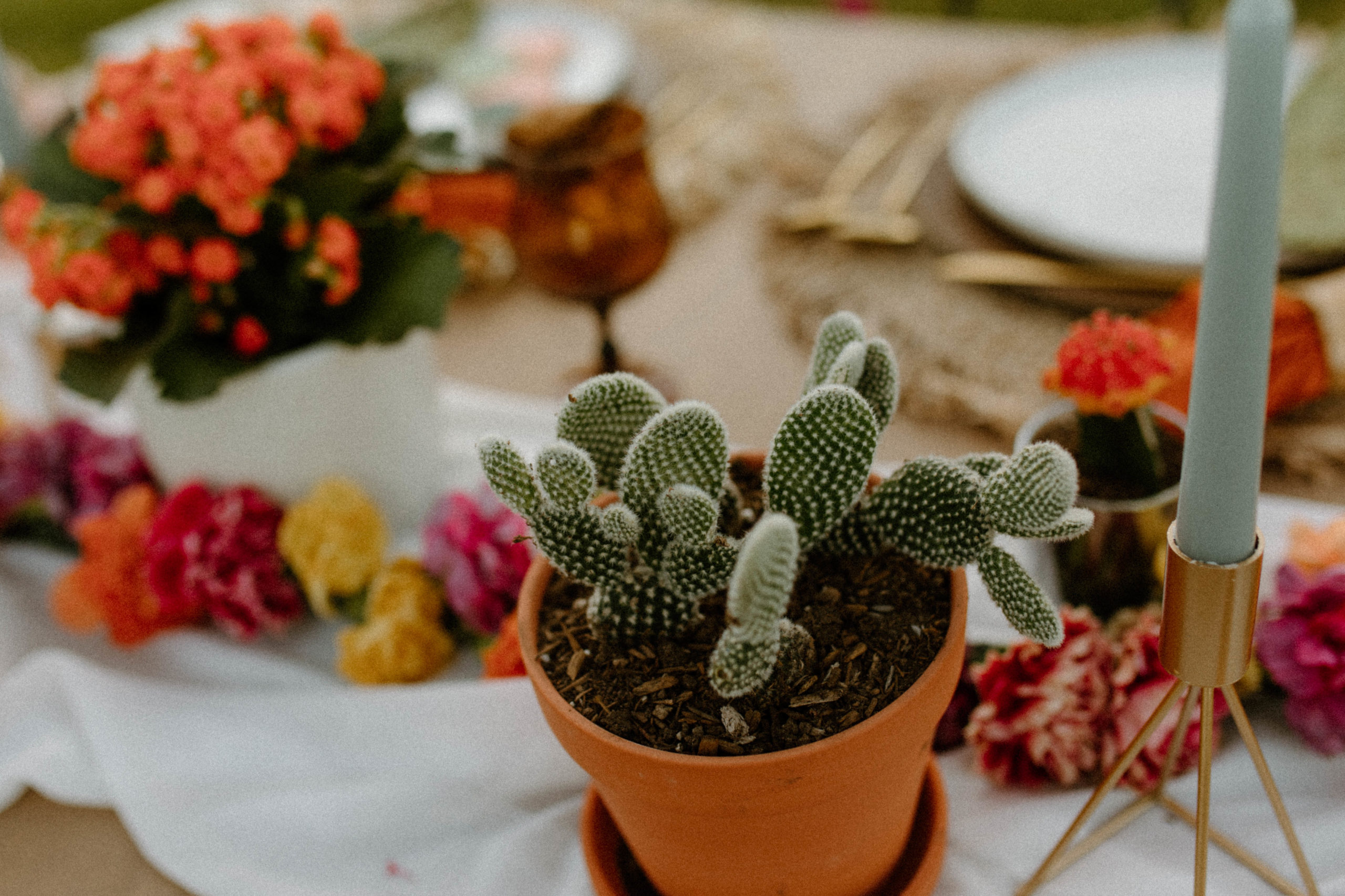 A Cactus Chic Elopement - Lake Tahoe & Kauai Photographer & Videographer